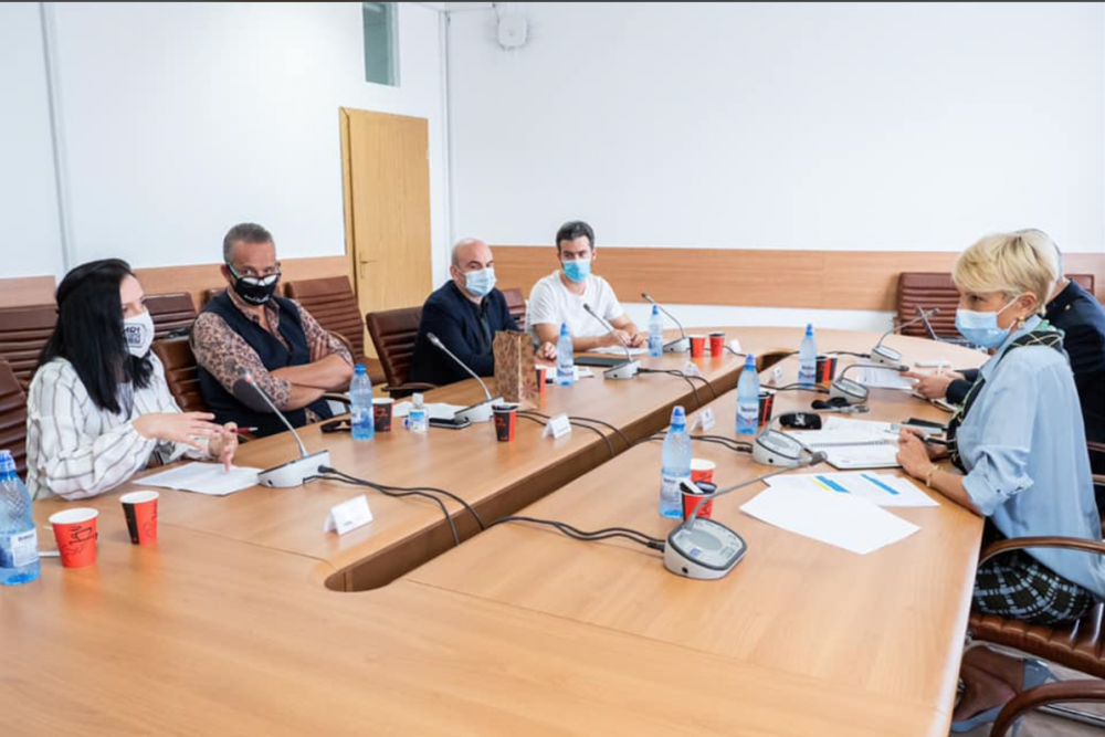 Codruța Vulcu, fondatorul ARTmania: „orice ajutor din partea statului ...