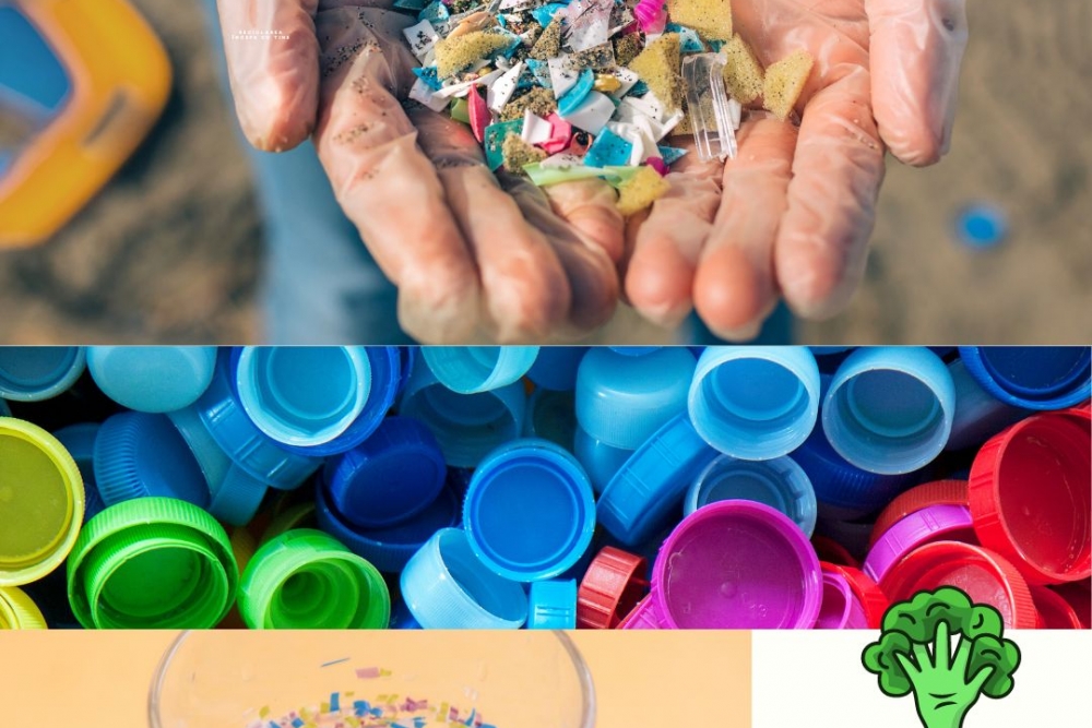 Plastic și microplastic: în ultimii zece ani rata de reciclare a ...