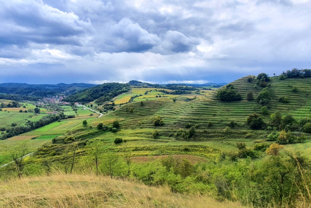 Pe toată Via Transilvanica. Ziua 12 ne-a purtat tot prin Sibiu. Și ce ...