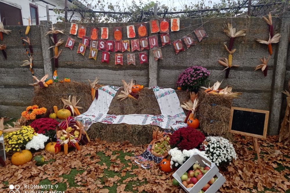 Festivalul Dovleacului la grădinița din Bungard