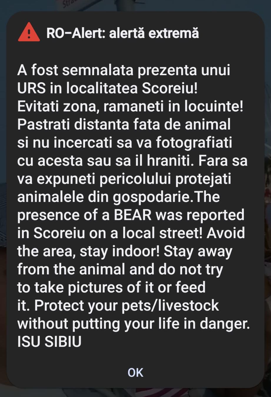 Urși în Scoreiu și Porumbacu de Sus. ISU a emis două mesaje RO-Alert
