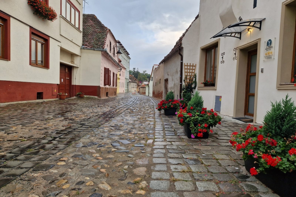 Transport Infrastructure: Roads, Motorways, Railways & Bridges | Page ...