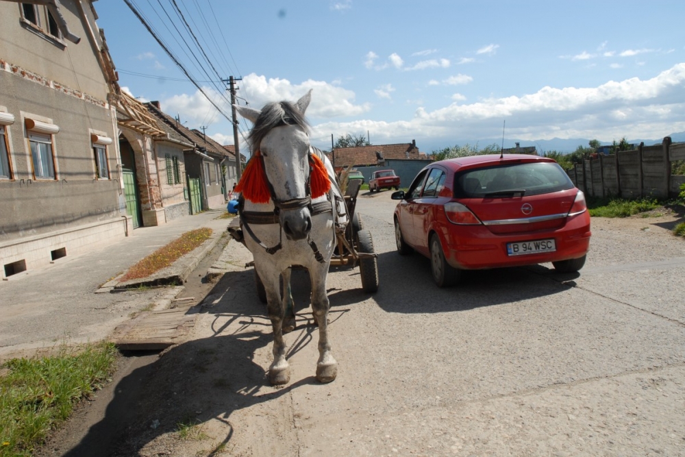 Accident pe DN14: o căruță condusă pe contrasens, lovită de o mașină ...