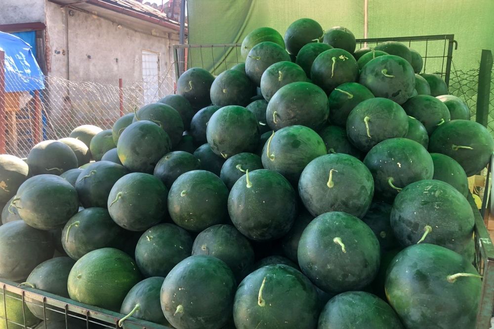 Cum alegem un pepene copt și dulce? Recomandări de la un producător din ...