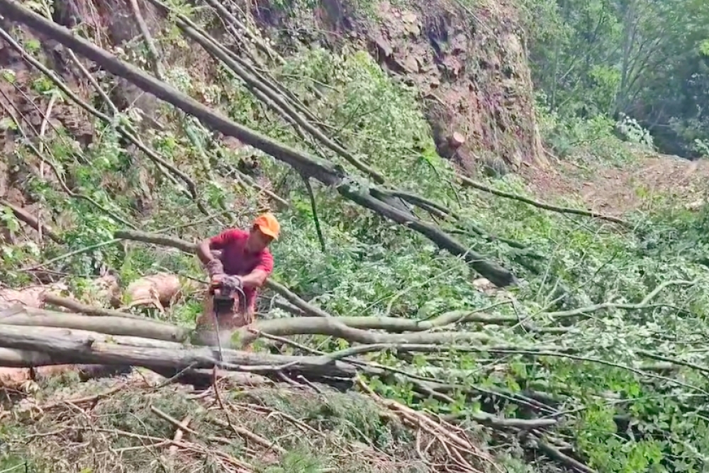 Defrișările pe Valea Oltului au ajuns la 40%. CNAIR: ”Se menține în ...