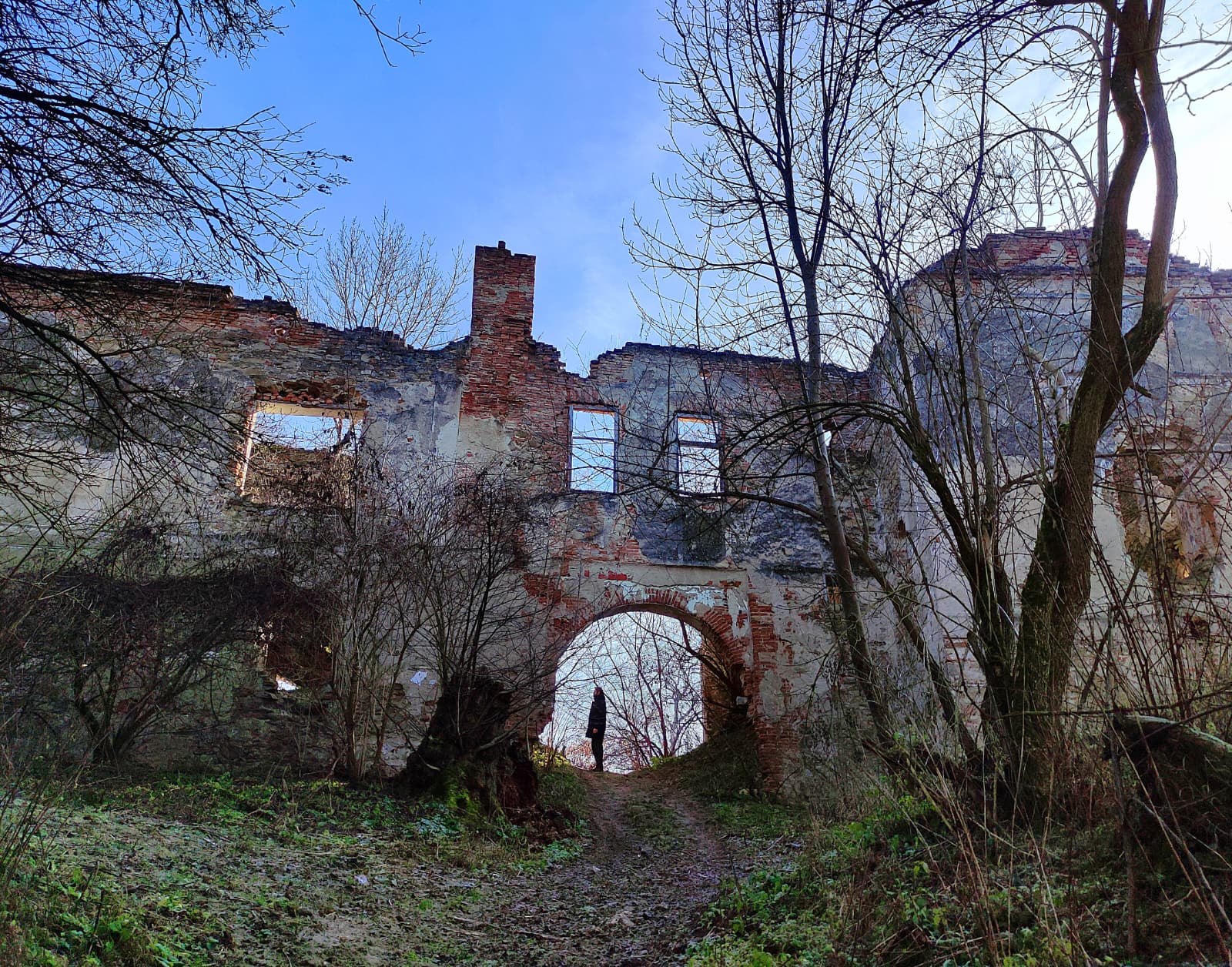 Două castele uitate de timp în inima județului Sibiu: Boarta și Buia ...